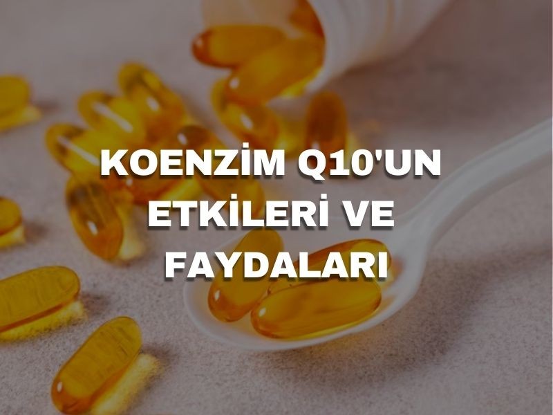 Koenzim Q10'un Etkileri ve Faydaları - Exam Plus