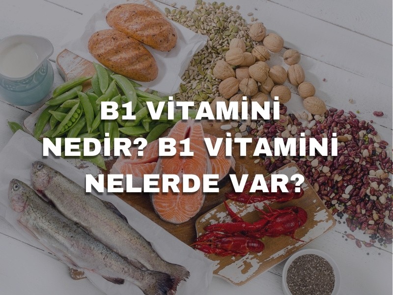 B1 Vitamini Nedir? Faydaları ve Hangi Besinlerde Bulunur? - Exam Plus